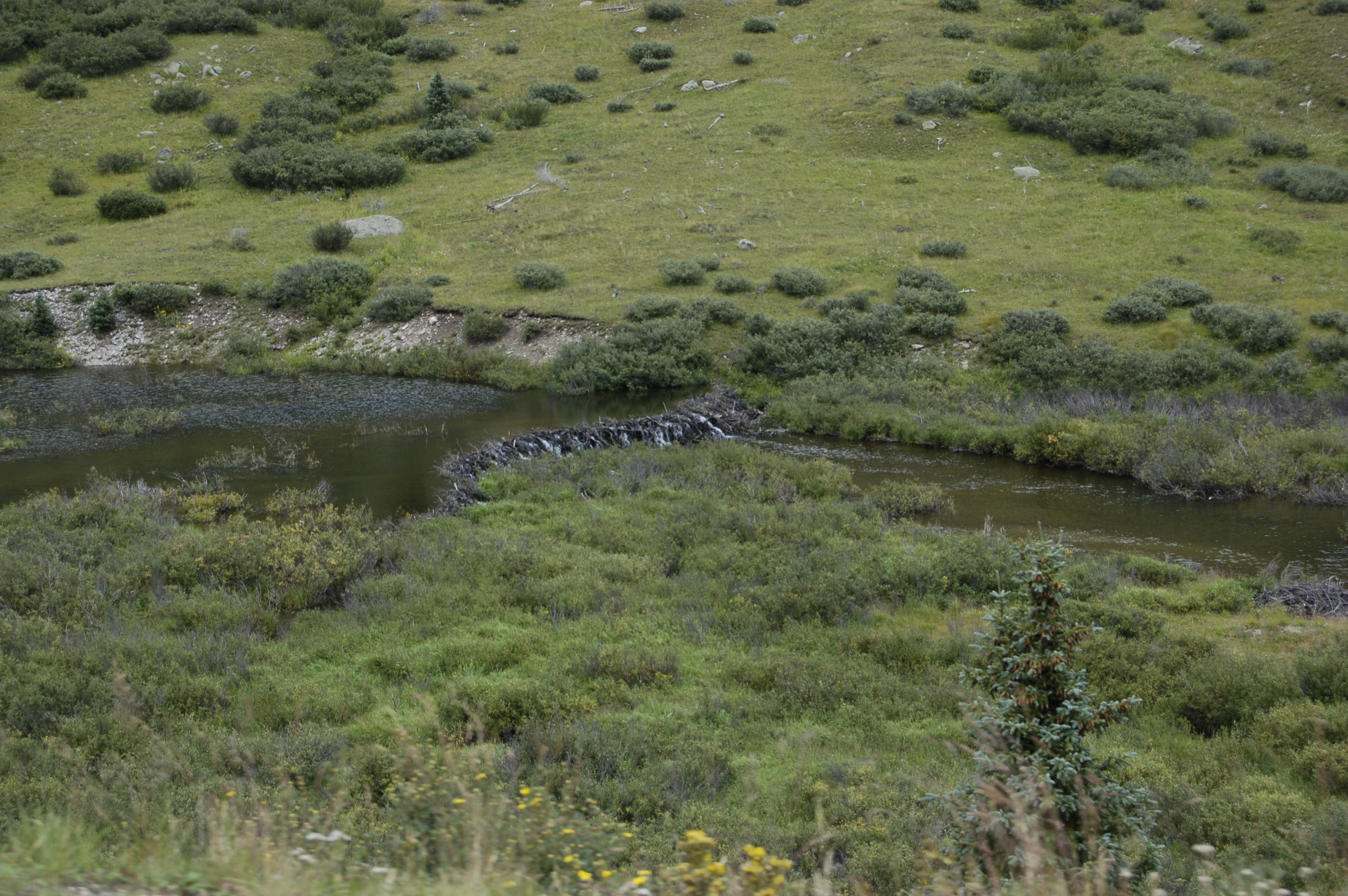 Hike To Linkin Lake, Aspen: Day Seven